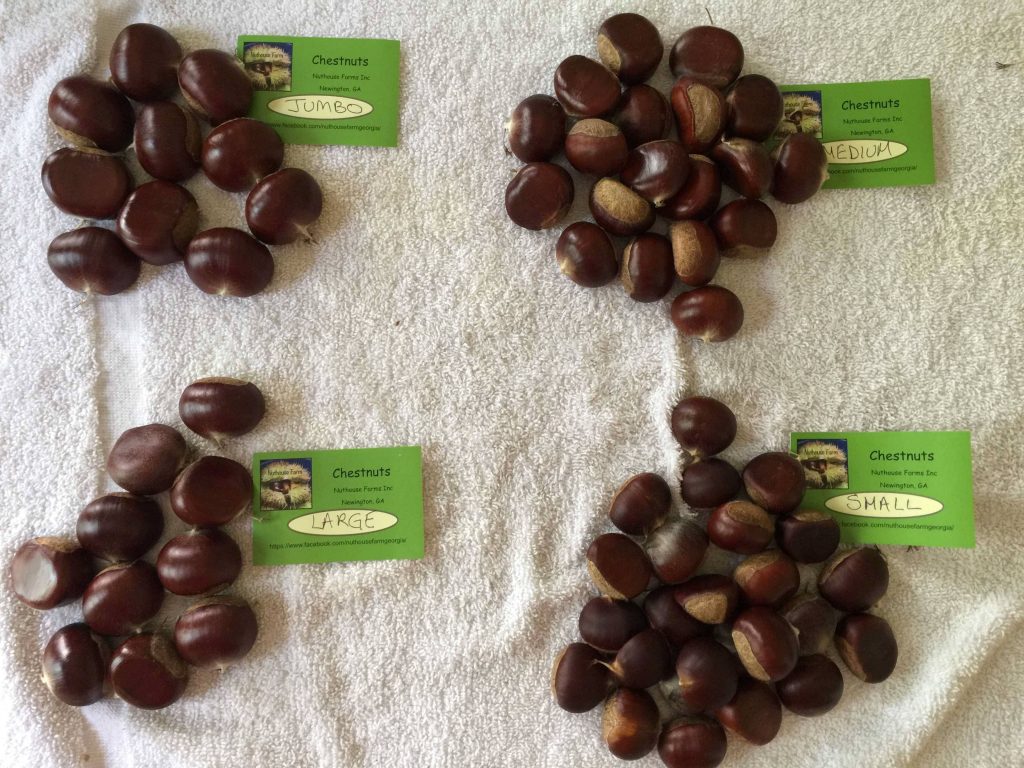 Buy Chestnuts – Bird Dog Chestnuts